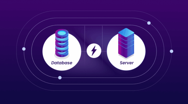 Server vs Database: Key Differences Explained for Beginners
