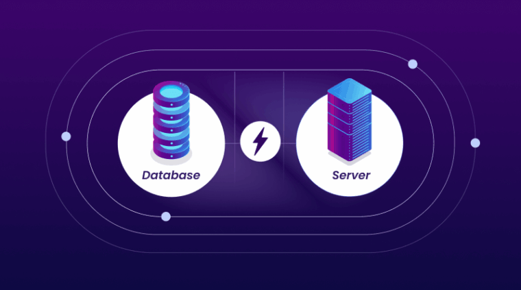 Server vs Database: Key Differences Explained for Beginners