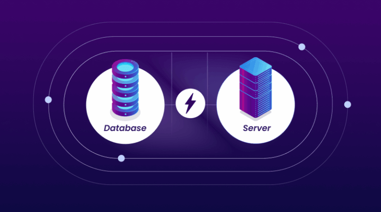 Server vs Database: Key Differences Explained for Beginners