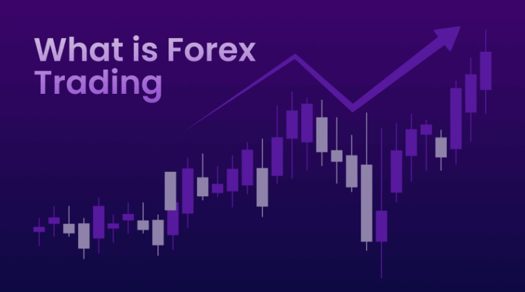 Forex Trading for Beginners: What It Is, How It Works & How to Get Started